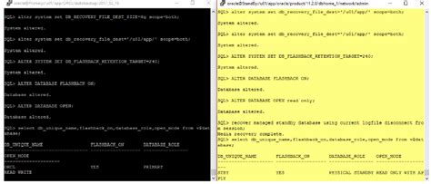 How To Fail Over And Reinstate Oracle Database On Oracle Cloud