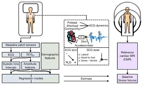 Respiratory Rate And Flow Waveform Estimation From Tri Axial