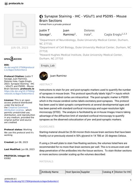 Pdf Synapse Staining Ihc Vglut1 And Psd95 Mouse Brain Sections V1