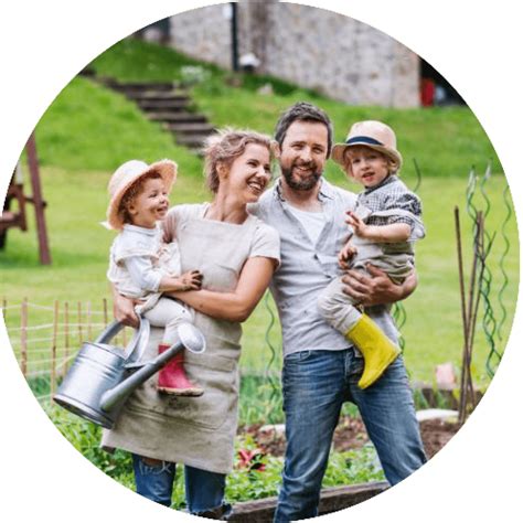 🧅fibrous Root Examples Discover The Names Of Plants With Fibrous Roots