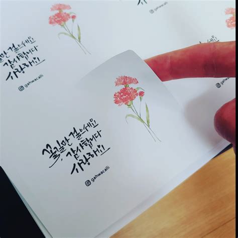 캘리그라피소품 카네이션스티커