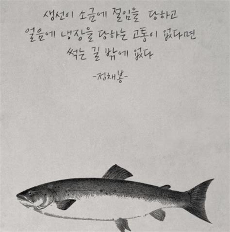 ボード「마음챙김명언」のピン