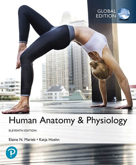 Anatomy And Physiology Textbook Pearson