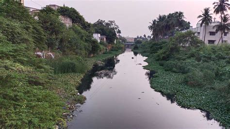 Celebrating Chennai For Its Many Water Bodies Citizen Matters
