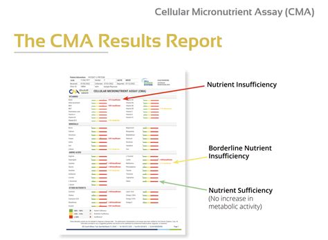 Micronutrient Testing Consult Cellular Micronutrition Testing Austin Tx Ivitamin