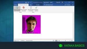 Como Quitar El Fondo Blanco De Una Imagen En Word DonComo