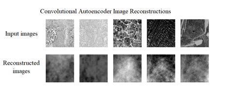 GitHub Mathematical Methods ENGR Final Project Autoencoder Pretrained Comparison Of
