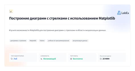 Мастерство в построении диаграмм с стрелками с использованием Matplotlib Labex