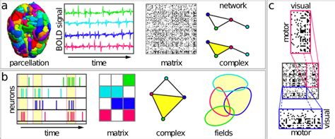 Simplicial Complexes Encode Diverse Neural Data Modalities A Download Scientific Diagram