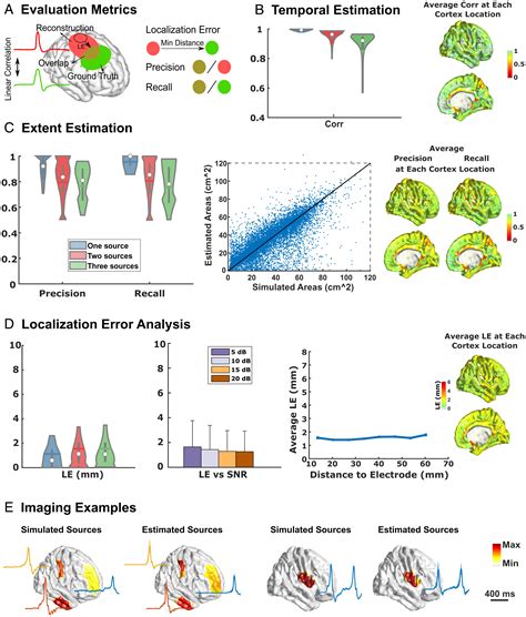 Deep Neural Networks Constrained By Neural Mass Models Improve Electrophysiological Source