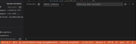 Graalvm Native Image Debugging