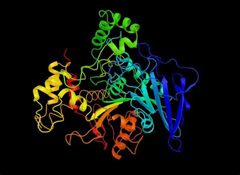 Vmd Visual Molecular Dynamics Exxact Corp