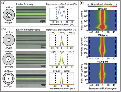 High Performance Micro Flow Cytometer Based On Optical Fibres Pmc