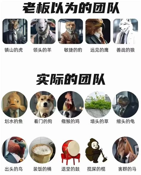 发图不留种,菊花万人捅 搞七捻三 Linux Do 发图不留种,菊花万人捅 搞七捻三 Linux Do