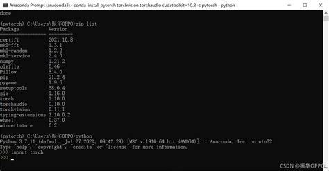 Python安装pytorch教程（图文详解） Csdn博客