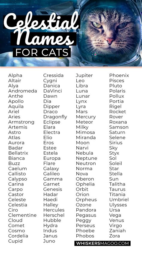 Cat Names 70 Most Popular Male And Female Cat Names Artofit