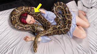 The True Horror Story Of A Naked Woman Sleeping With A Giant Python