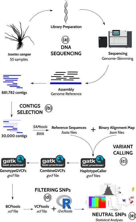 Methodological Approach For Sequencing And Data Analyses A Genomic