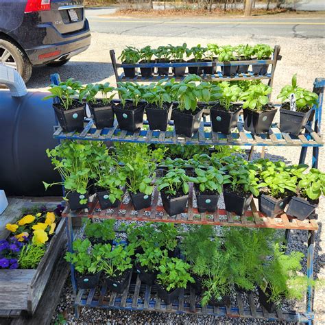 Settings Settings Added A New Photo — At Settings