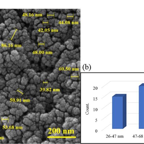 Scheme 1 Synthetic Process Of The Scaffold Cs Sf Hydrogelpvafe 3 O 4 Download Scientific