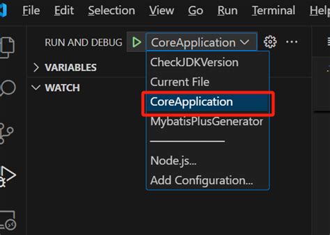 【vscode配置】运行springboot项目和vue项目 vscode运行springboot项目 csdn博客