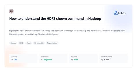 how to understand the hdfs chown command in hadoop labex