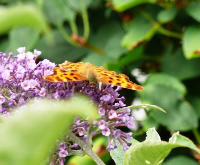 Bob S Home For Writing The Floating Comma