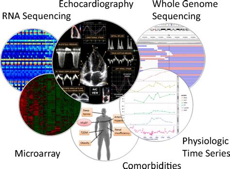 Illustration Of Electronic Health Record Data Sources From Multiple Download Scientific Diagram