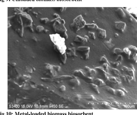 Figure 1 From Biosorption Of Hexavalent Chromium Using Bacillus Licheniformis Isolated From