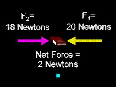 Net Force Zona Land Education