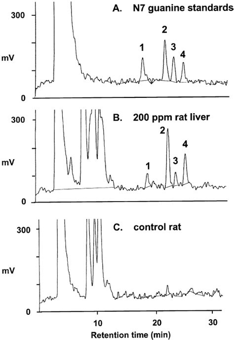 Hplc Chromatograms Of A A Standard Mixture B An Exposed Rat