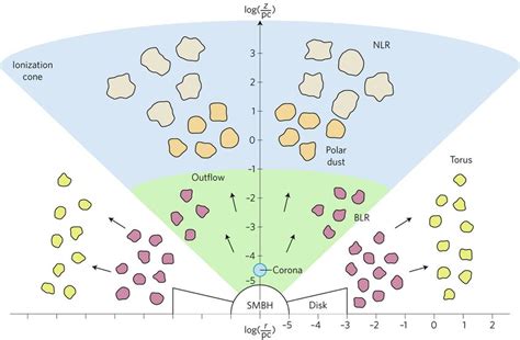 1 According To The Active Galactic Nuclei Unification Model The Download Scientific Diagram