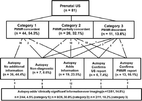 Flowchart Demonstrating The Numbers Of Cases With Full Partial