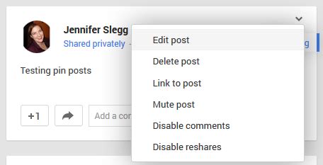 Google Allows You To Pin Post To Top Of Google Page