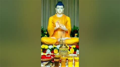 සුබ උදෑසනක් වේවා අනන්ත වූ බුදුගුණ බලයෙන් රෝග බිය දුරු වේවා 🙏🙏🙏 Youtube