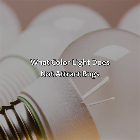 What Color Light Does Not Attract Bugs