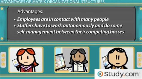 Matrix Organizational Structure Definition Pros And Cons Lesson