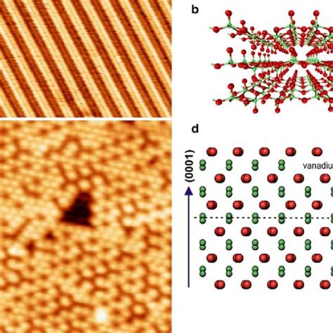 A Scanning Tunneling Microscopy Image Of A V 2 O 5 001 Single Download Scientific Diagram