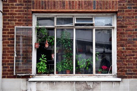 Transom Windows The Ultimate Guide Glass Genius