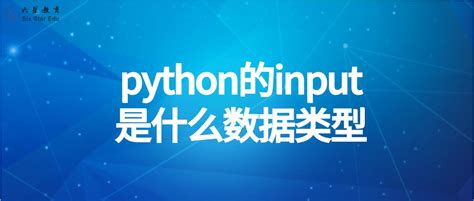 python的input是什么数据类型