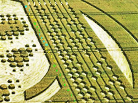 Crop Circle Gallery 81