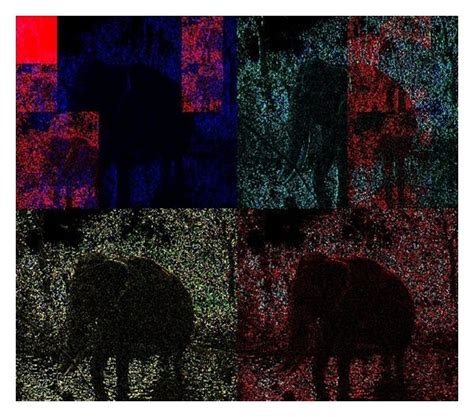 3 Level Decomposed Query Elephant Image Download Scientific Diagram