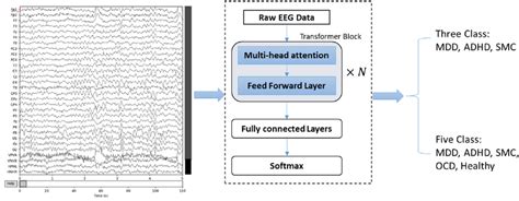 Proposed Framework For Neurological Dysfunction Classification Using Download Scientific
