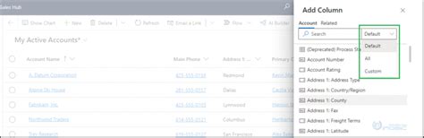 Use Of New Column Options Settings In Grid View Page Microsoft Dynamics 365 CRM Tips And Tricks