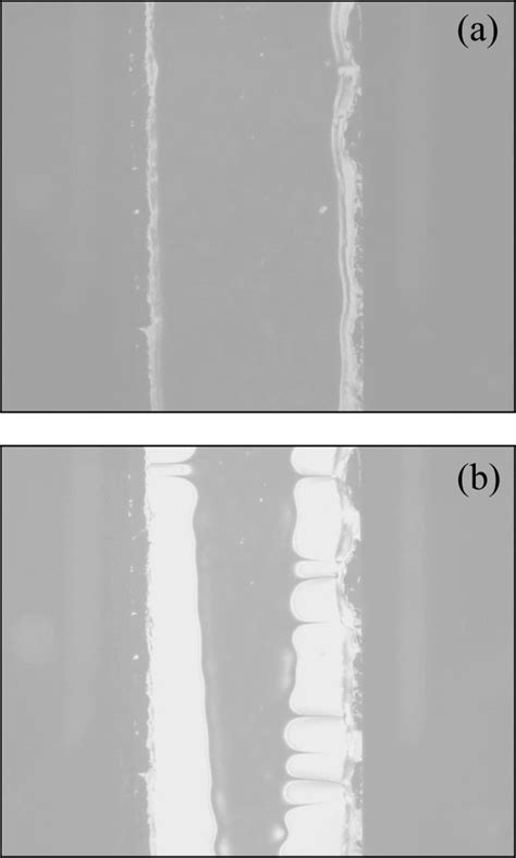 Evolution Of Lc In The Cell With The Homeotropic Nlc Orientation Under