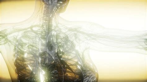 인체 엑스레이 인체 엑스레이 엑스레이 엑스레이 망원경 Png 일러스트 및 이미지 에 대한 무료 다운로드 Pngtree