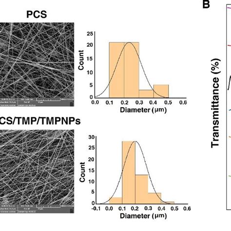 Monitoring Physicochemical Properties Of The Prepared Nps Using Fe Sem