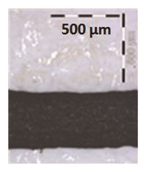 Optical Microscopic Image Of A Single One Layer Graphene Line Download Scientific Diagram