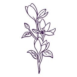 Simple Flower Line Drawing