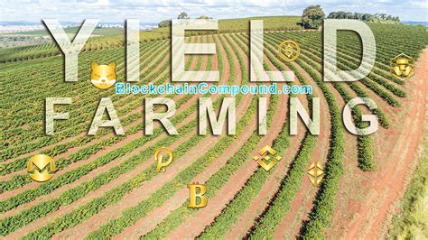 Best Yield Farming Crypto